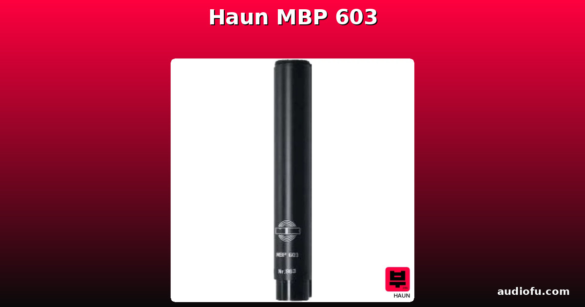 Haun MBP 603 | Modular Microphone Systems - Reviews & Buy 2026